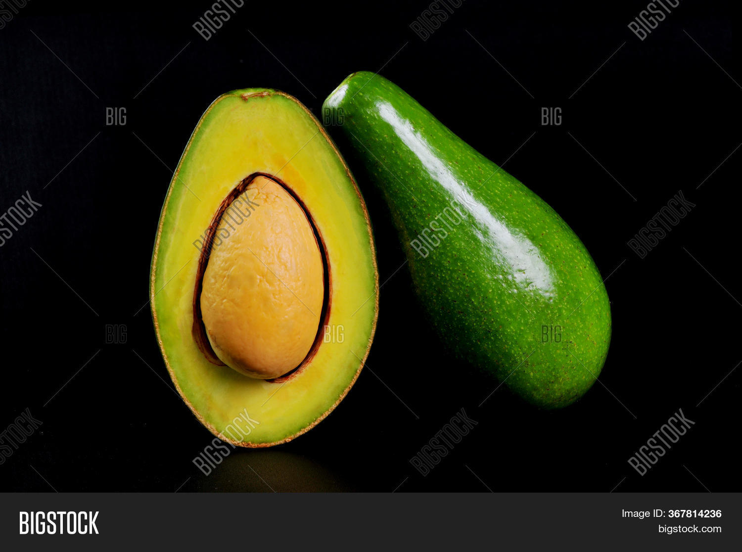 Avocado Isolated On Image & Photo (Free Trial) | Bigstock