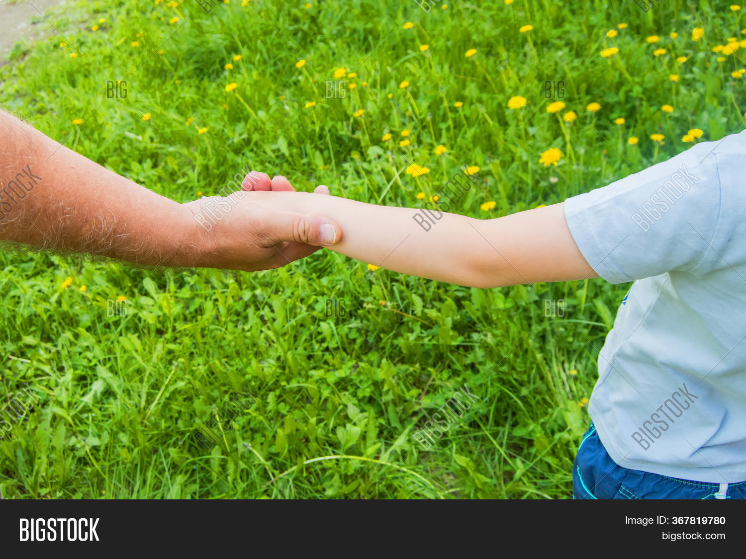 Strong Fathers Hand Image & Photo (Free Trial) | Bigstock