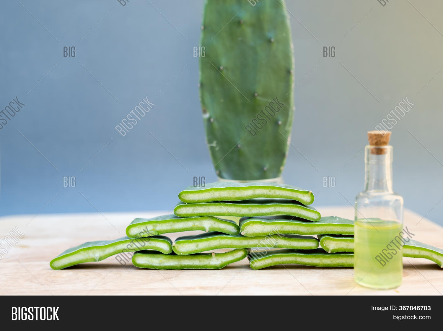 Cactus Leaves, Gel Image & Photo (Free Trial) | Bigstock