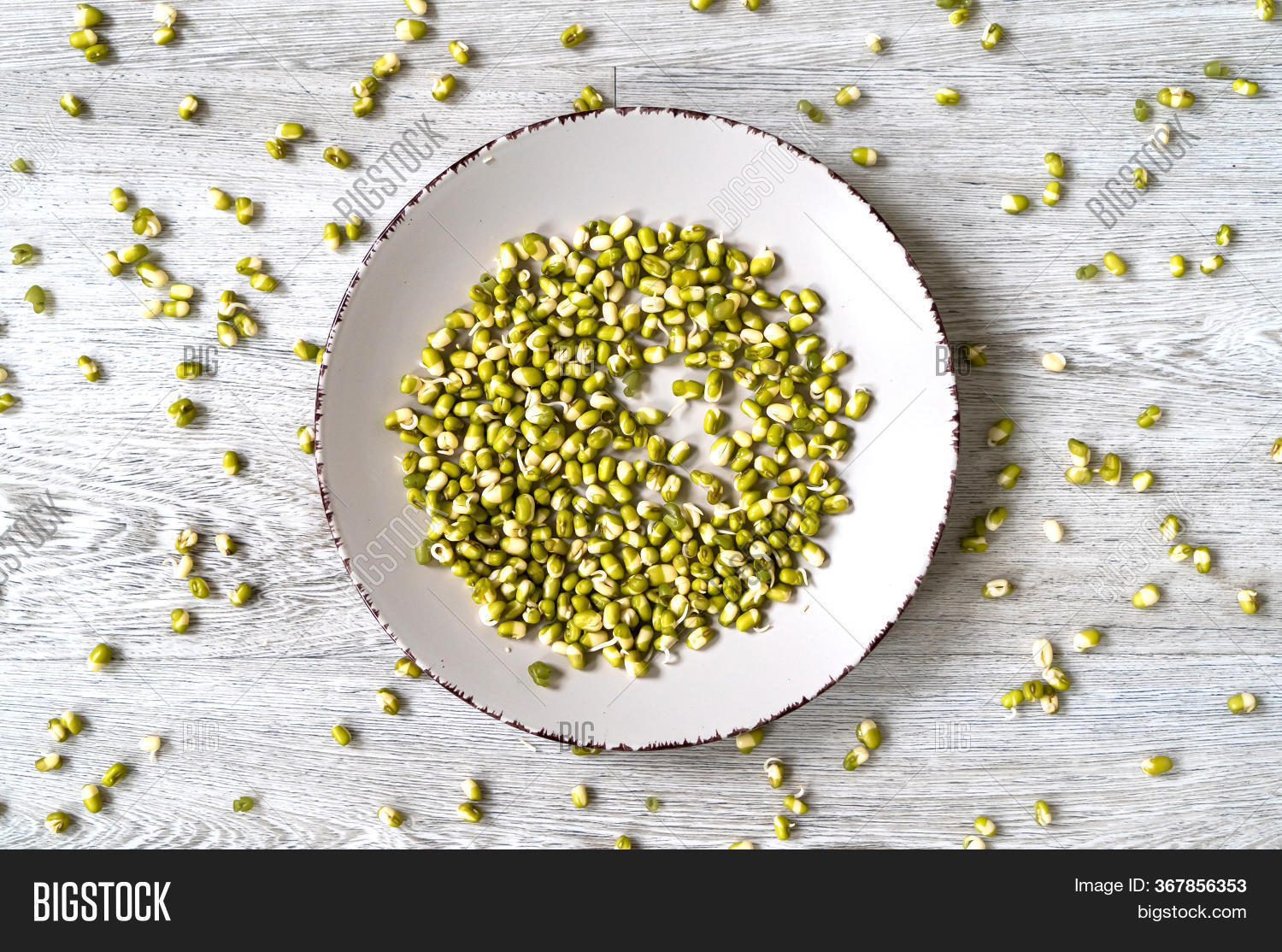 Green Mung Beans ( Image & Photo (Free Trial) | Bigstock