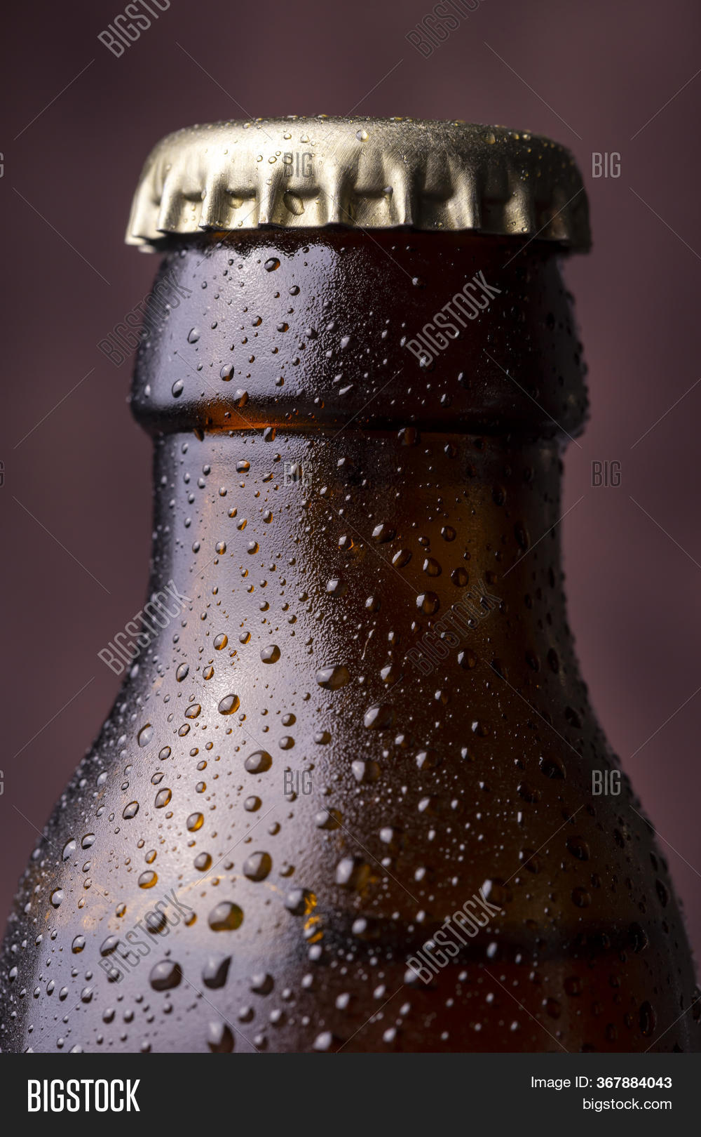 Detail Cold, Wet Beer Image & Photo (Free Trial) | Bigstock