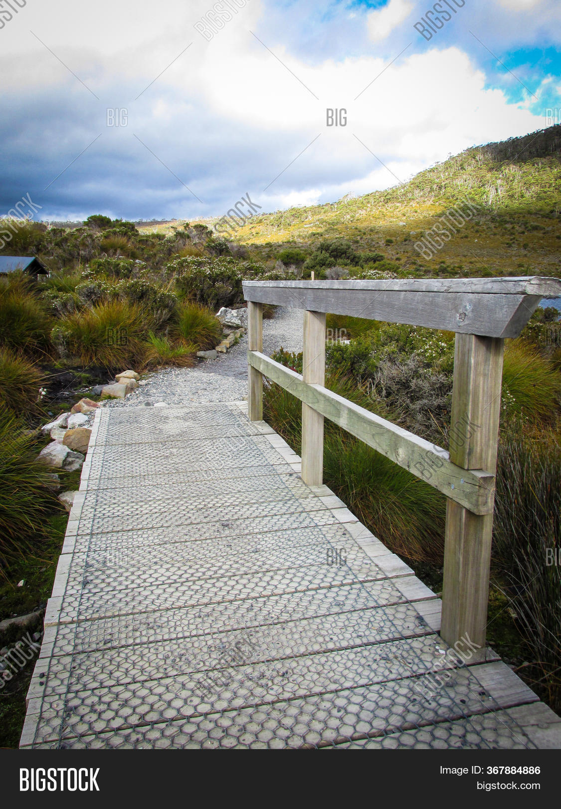 Foot Trail Visitors Image & Photo (Free Trial) | Bigstock