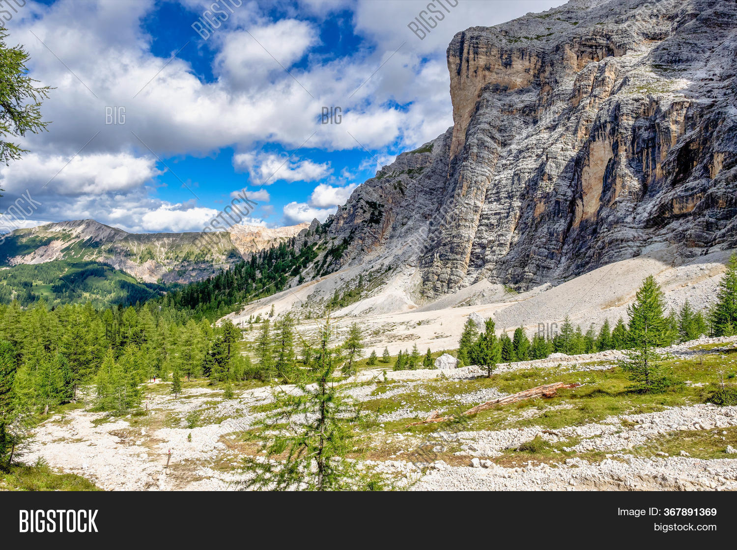View Western Face Image & Photo (Free Trial) | Bigstock