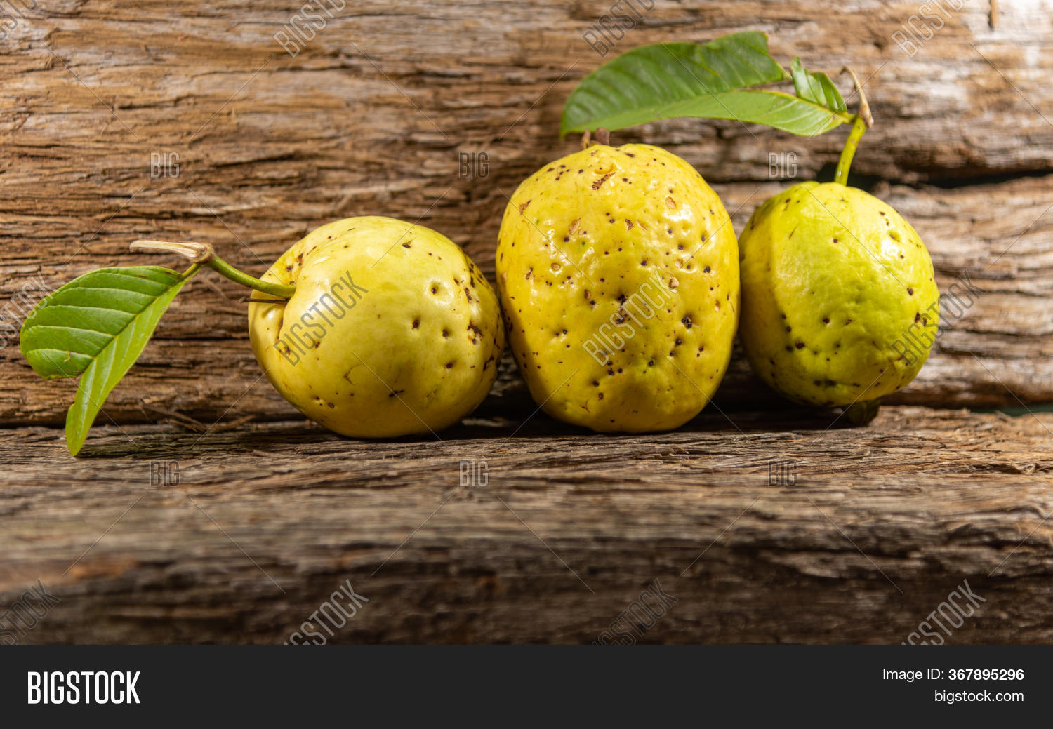 Yellow Guava Fruits Image & Photo (Free Trial) | Bigstock
