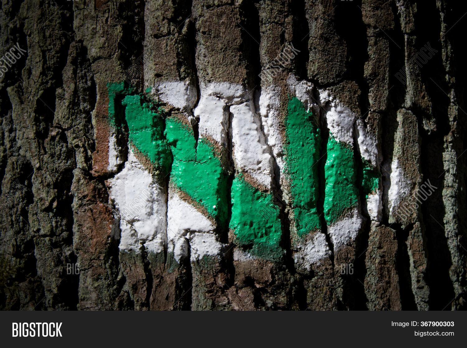 Hiking Sign On Tree Image & Photo (Free Trial) | Bigstock