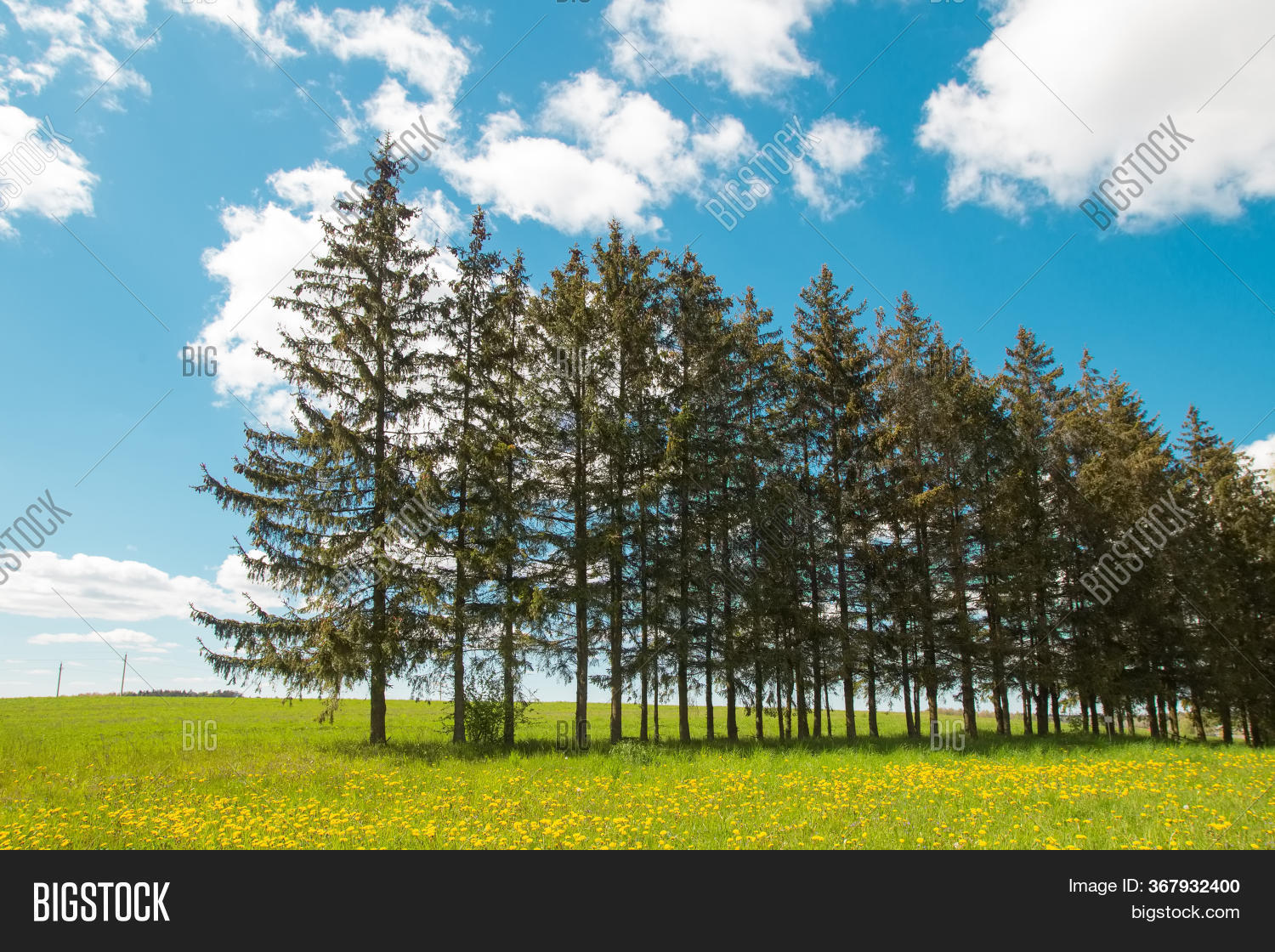 Pleasant Sunny Summer Image & Photo (Free Trial) | Bigstock