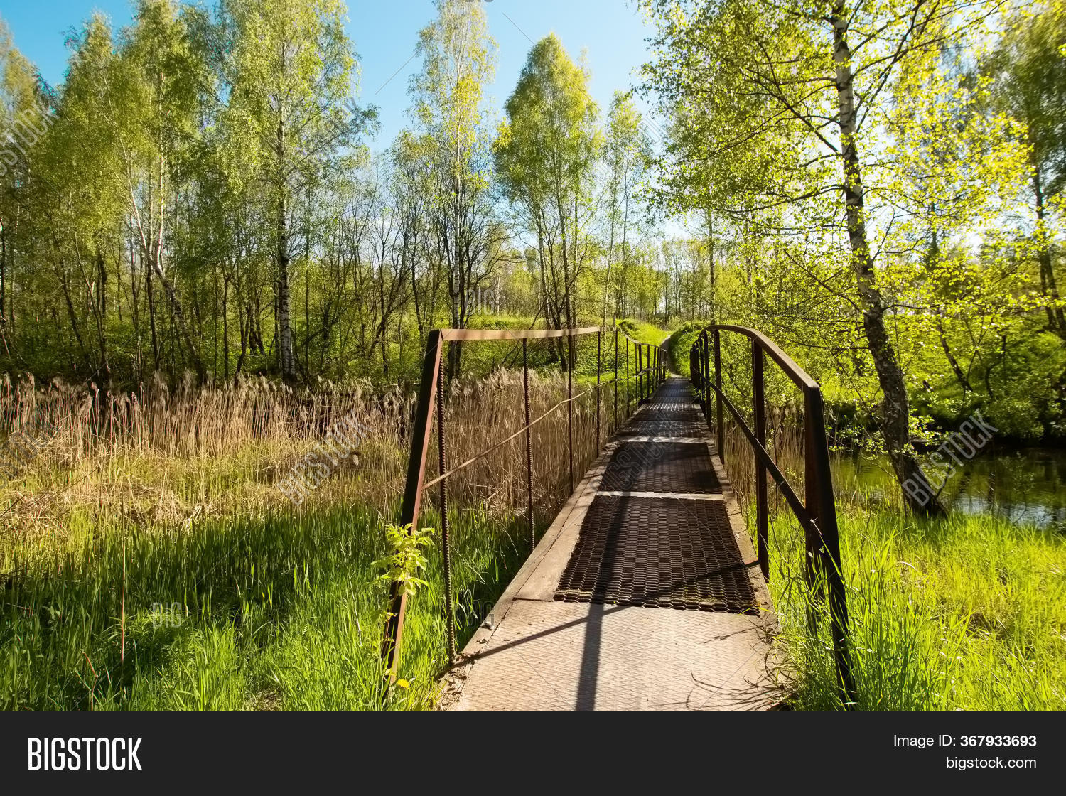 Pleasant Sunny Summer Image & Photo (Free Trial) | Bigstock
