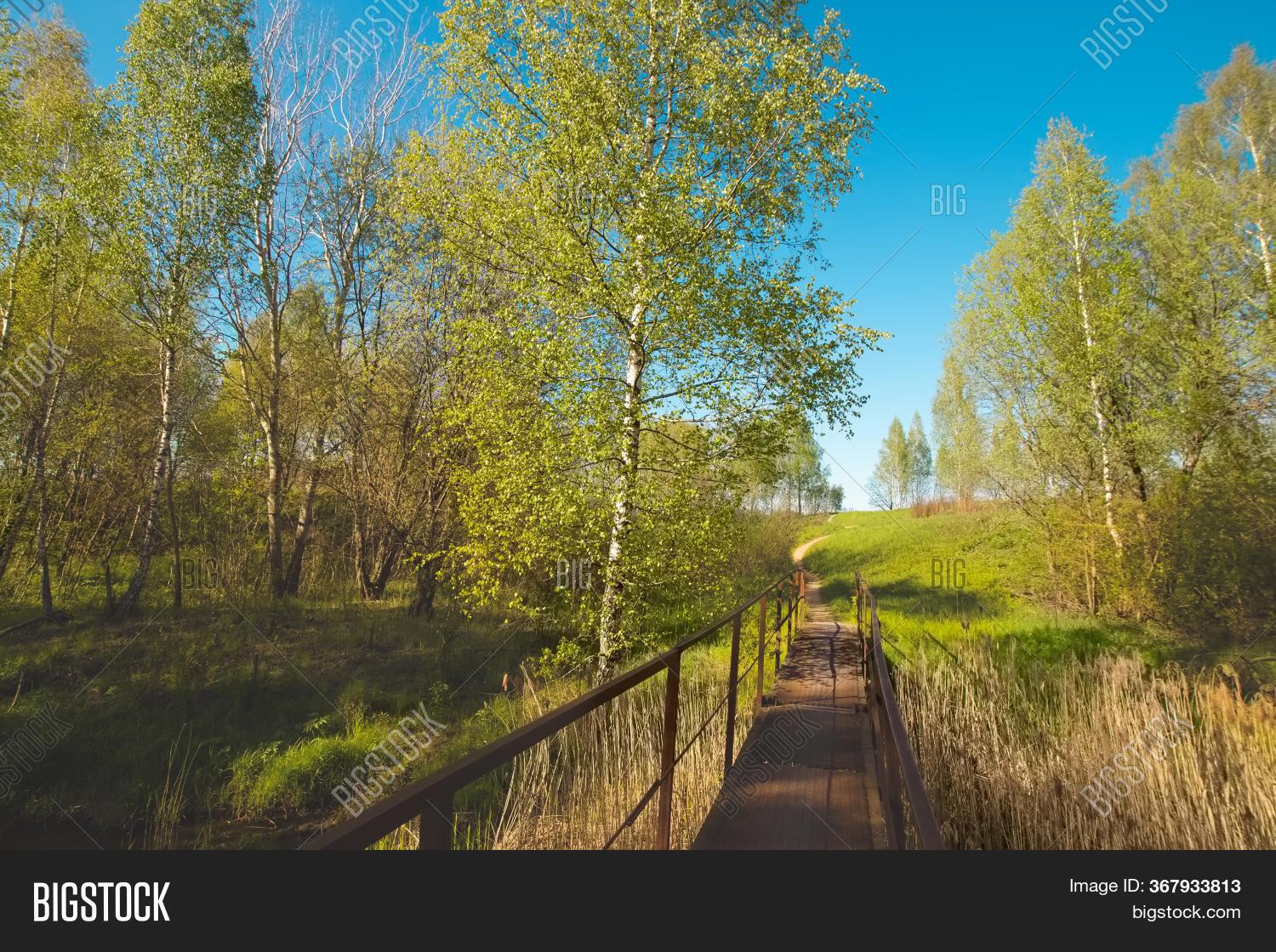 Pleasant Sunny Summer Image & Photo (Free Trial) | Bigstock