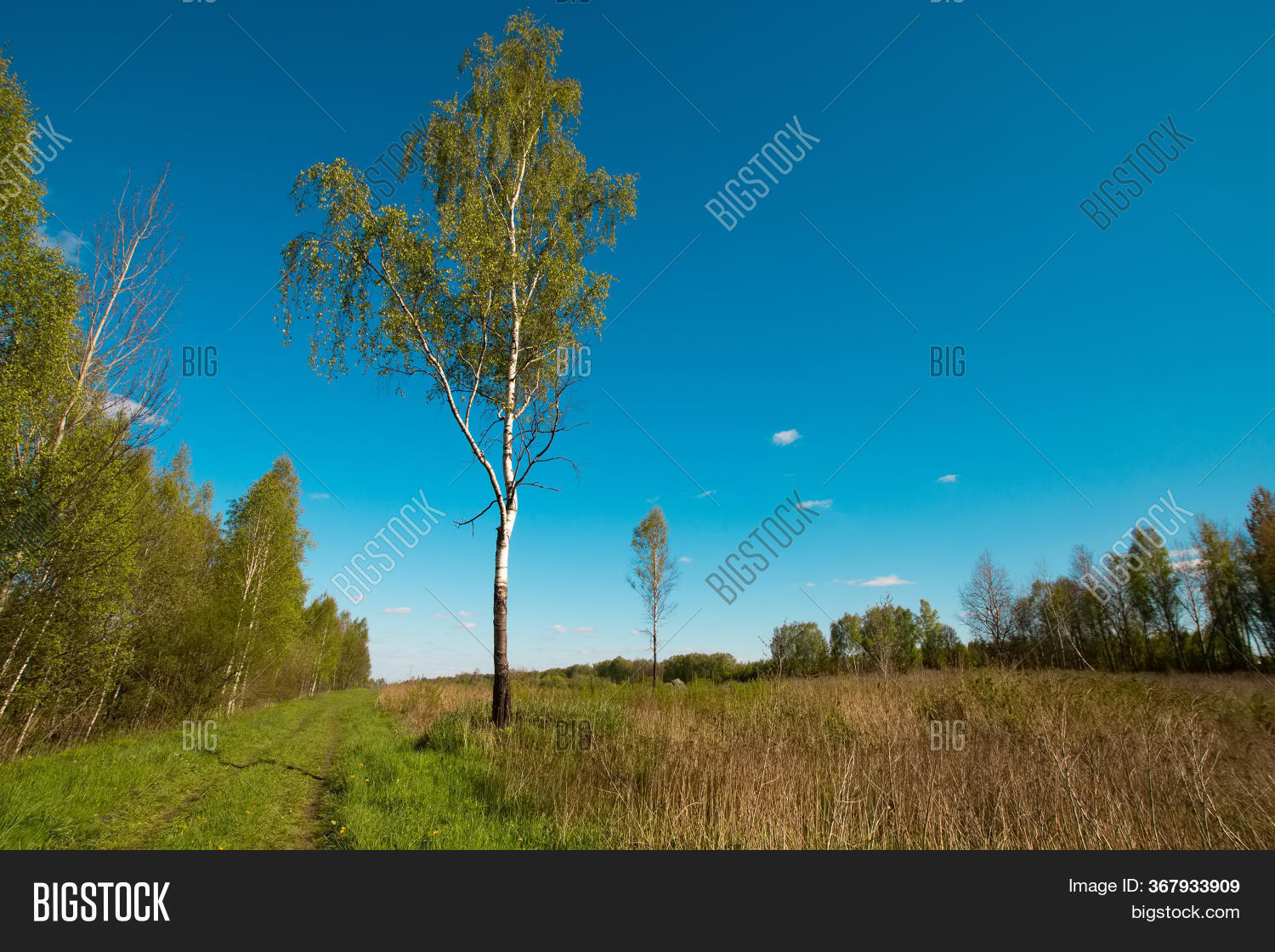 Pleasant Summer Image & Photo (Free Trial) | Bigstock