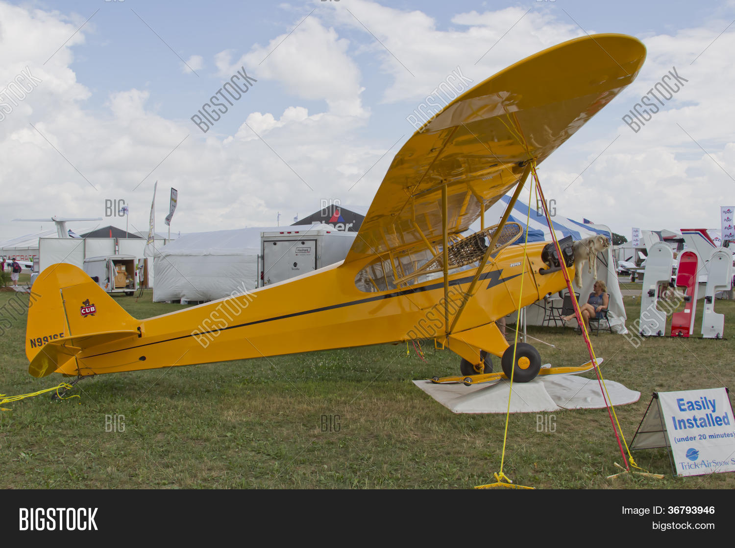 Yellow Piper Cub Plane Image & Photo (Free Trial) | Bigstock