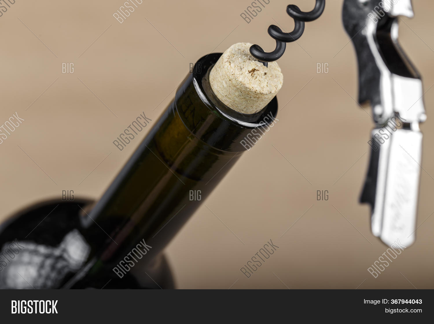 Bottle Wine Corkscrew Image & Photo (Free Trial) | Bigstock