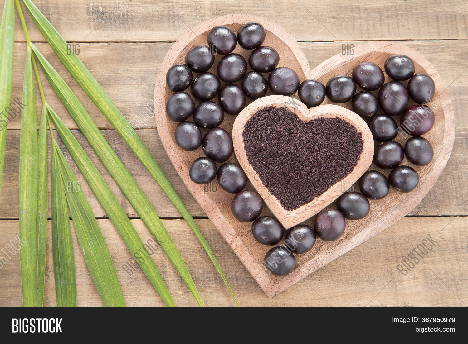 Acai Powder Berries - Image & Photo (Free Trial) | Bigstock