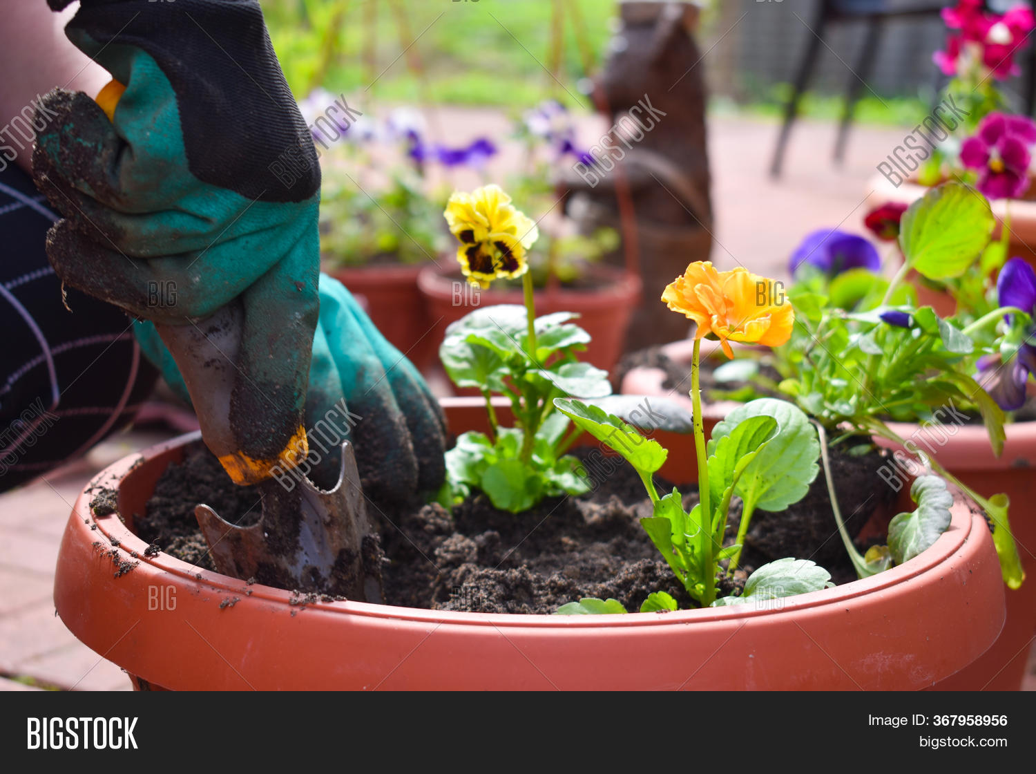 Work Garden. Image & Photo (Free Trial) | Bigstock