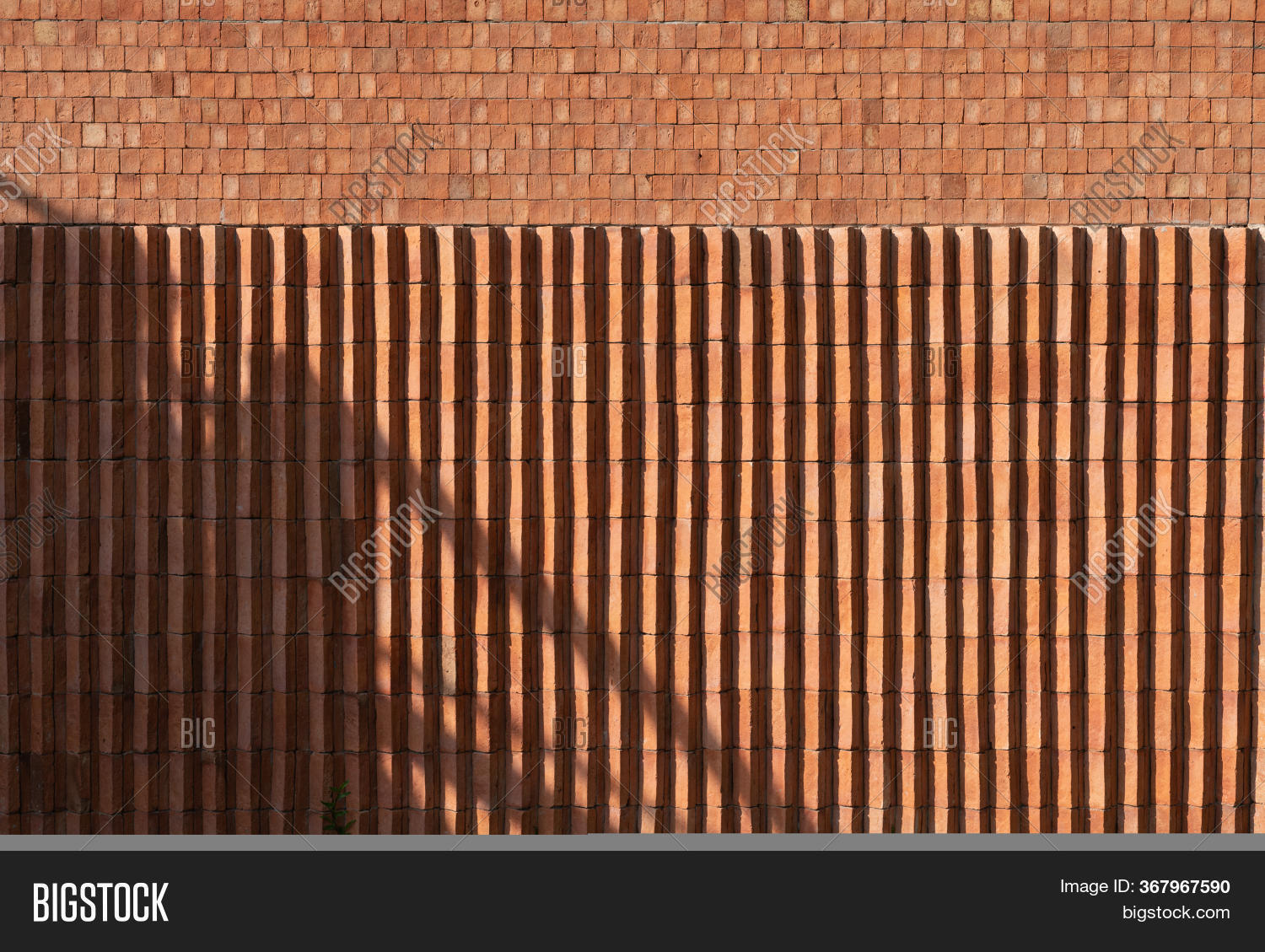 Combination Image & Photo (Free Trial) | Bigstock