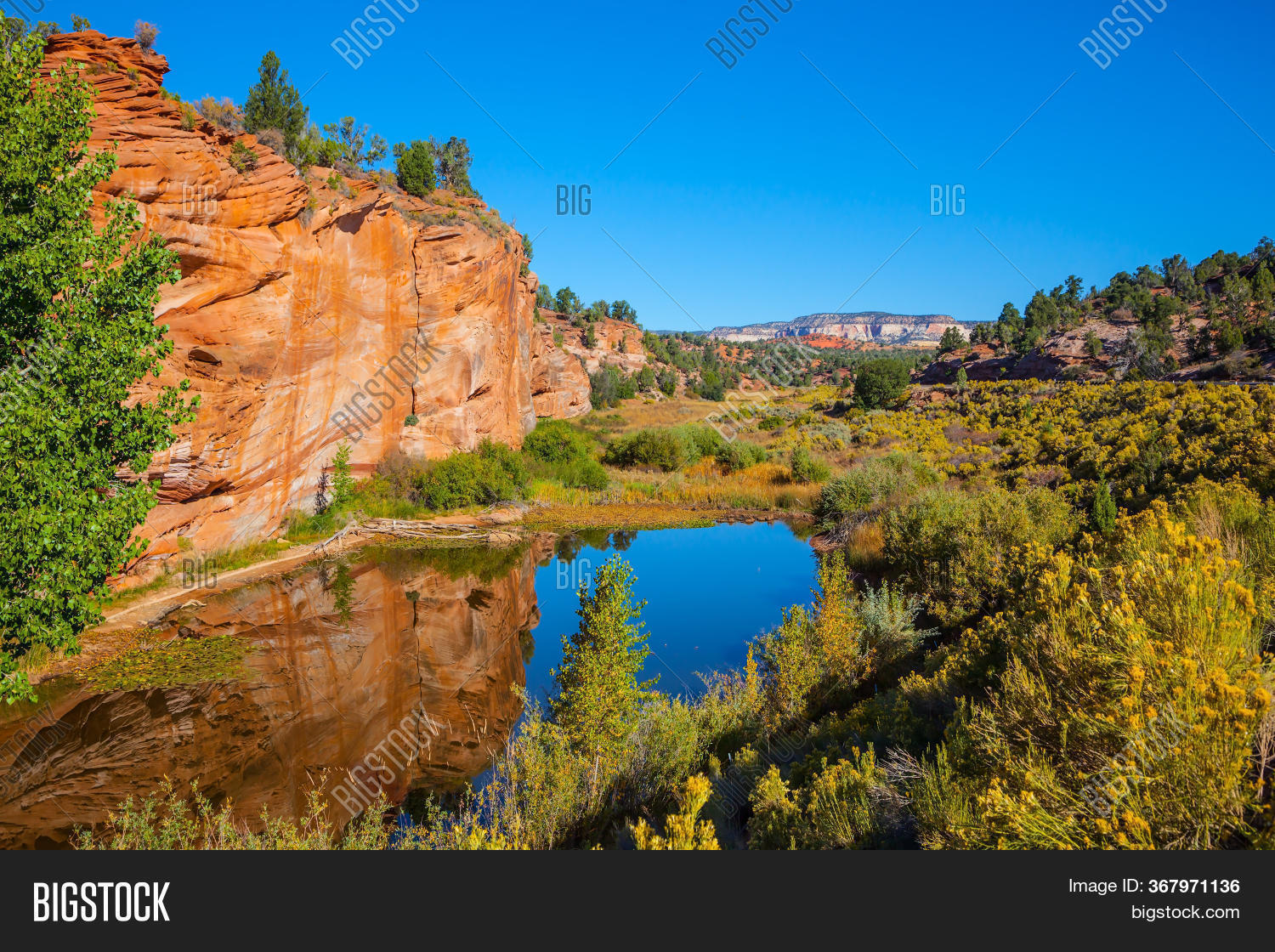 Small Puddle Reflects Image & Photo (Free Trial) | Bigstock