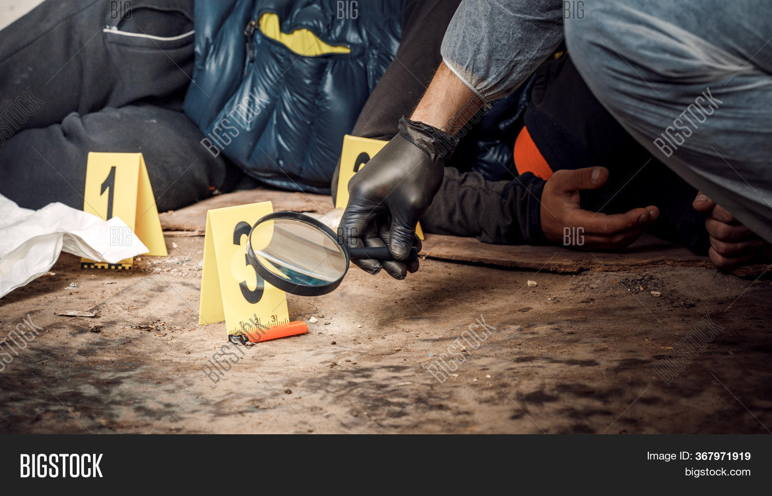 Expert Gathering Image & Photo (Free Trial) | Bigstock