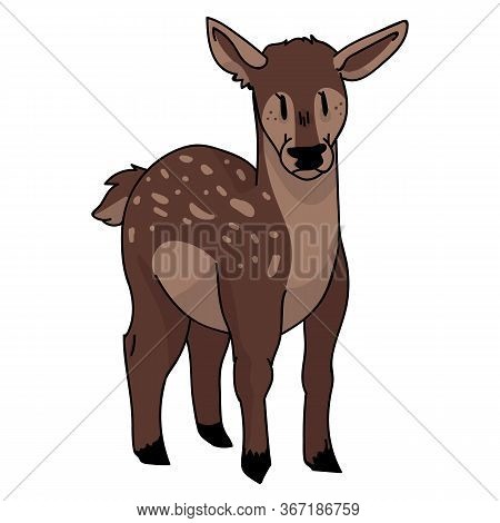 Cute Woodland Doe Vector & Photo (Free Trial) | Bigstock