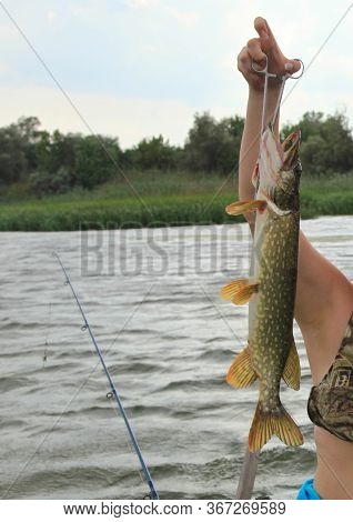 Fishing Volga Delta. Image & Photo (Free Trial) | Bigstock