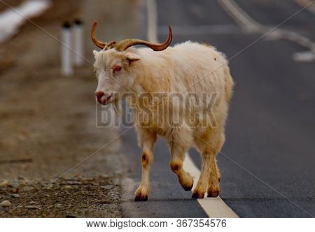 Russia. South Western Image & Photo (Free Trial) | Bigstock