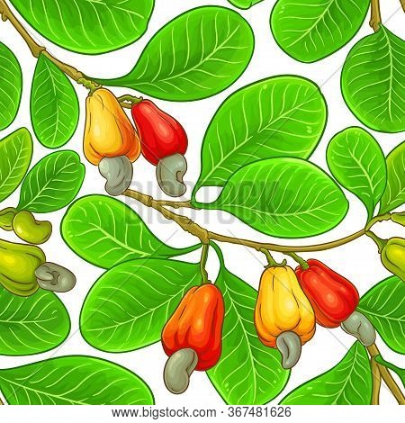 Cashew Branches Vector & Photo (Free Trial) | Bigstock