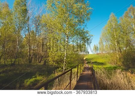 Pleasant Sunny Summer Image & Photo (Free Trial) | Bigstock