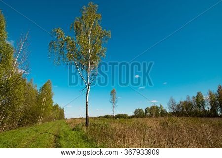 Pleasant Summer Image & Photo (Free Trial) | Bigstock
