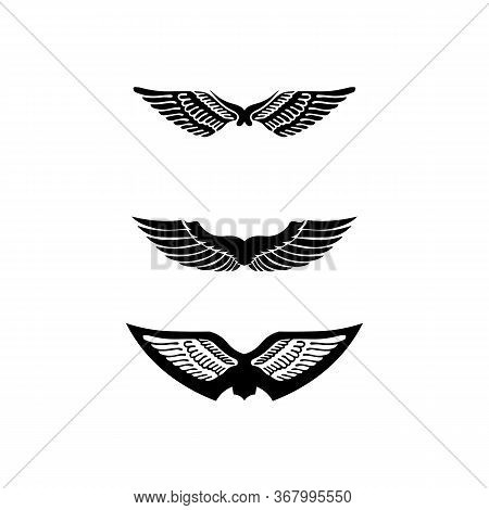 Falcon Wings Vector