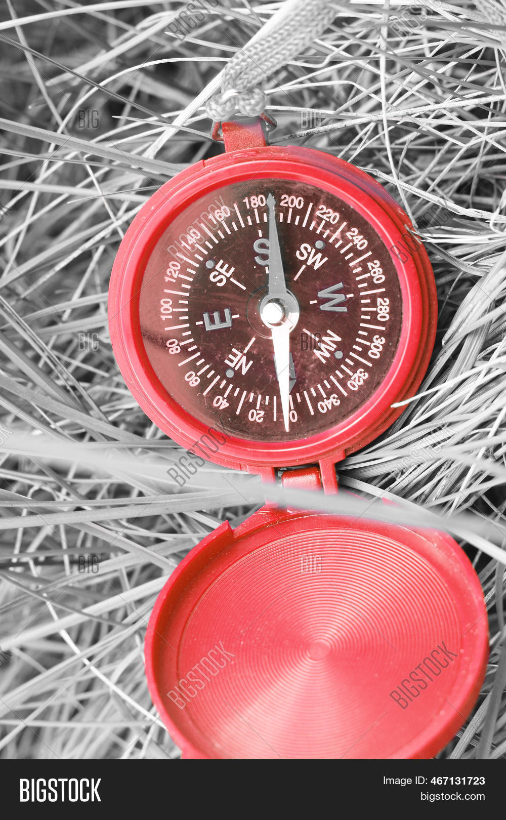 Round Compass On Image & Photo (Free Trial) | Bigstock