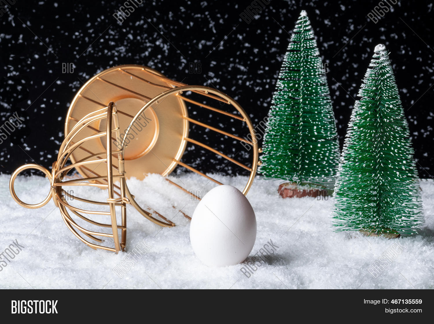 Inverted Open Cage Egg Image & Photo (Free Trial) | Bigstock