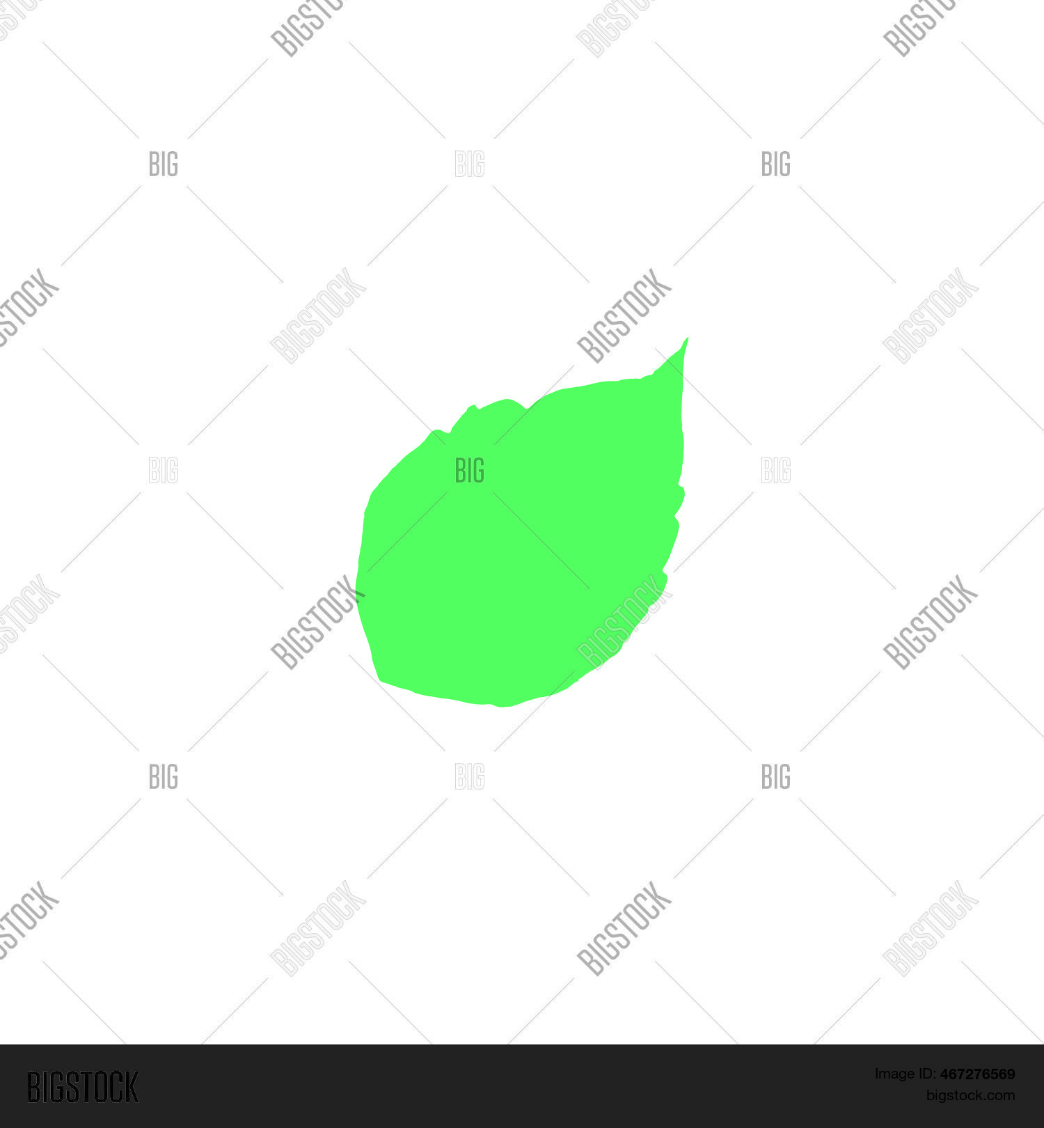 Leaf Icon. Simple Vector & Photo (Free Trial) | Bigstock