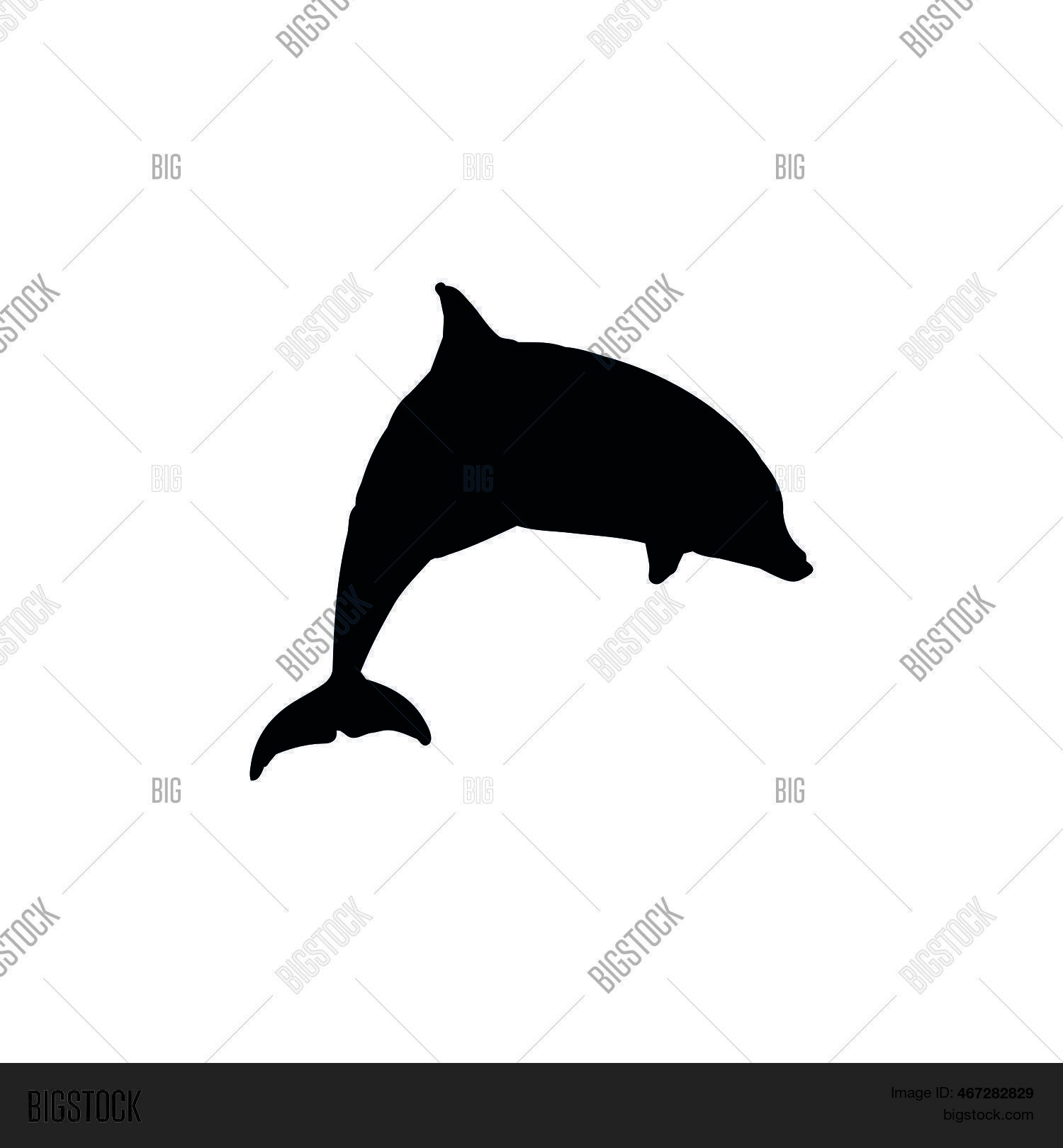 Dolphin Icon. Simple Vector & Photo (Free Trial) | Bigstock
