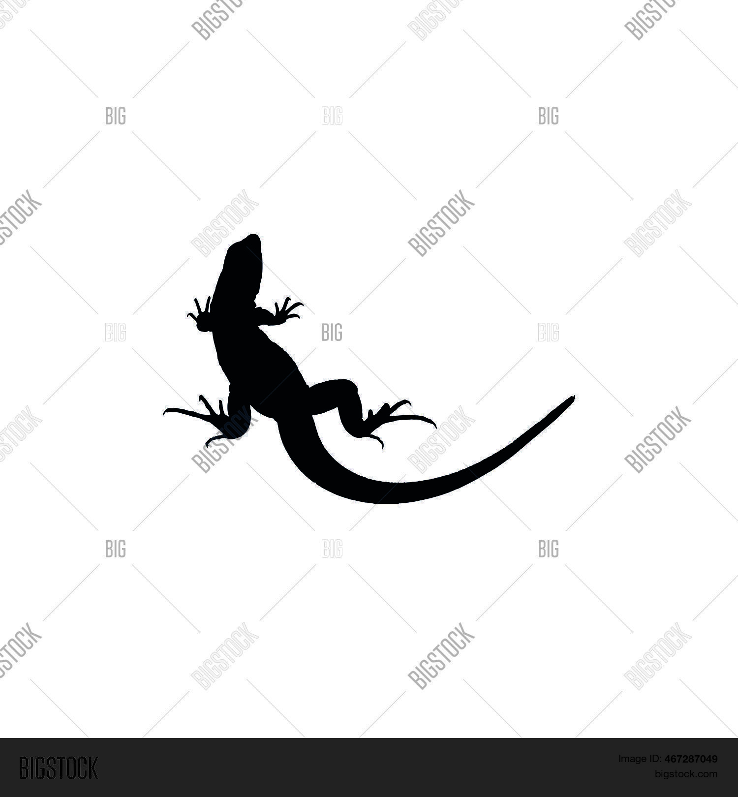 Gecko Icon. Simple Vector & Photo (Free Trial) | Bigstock