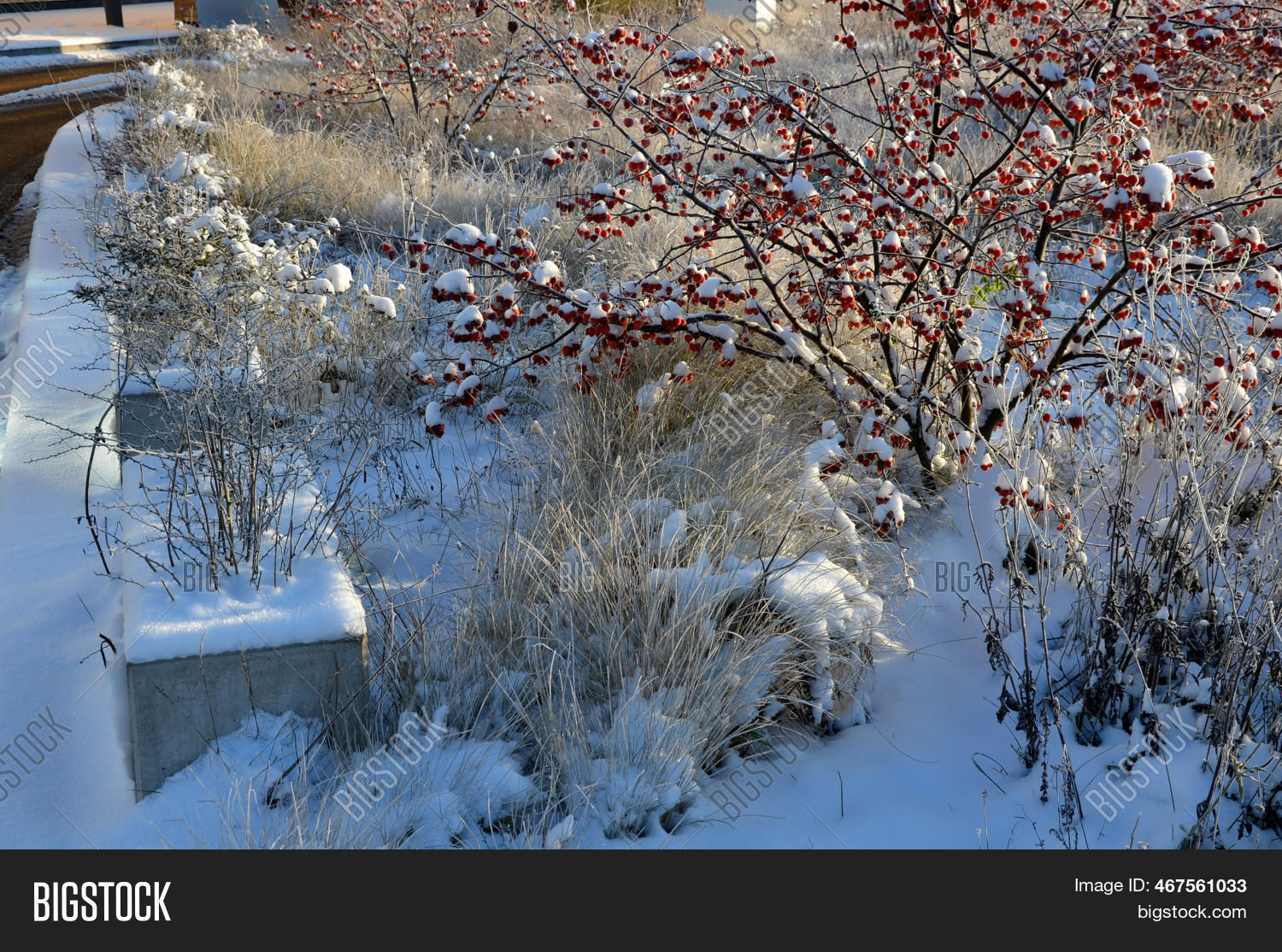 afbeelding en foto (gratis proefversie) | Bigstock