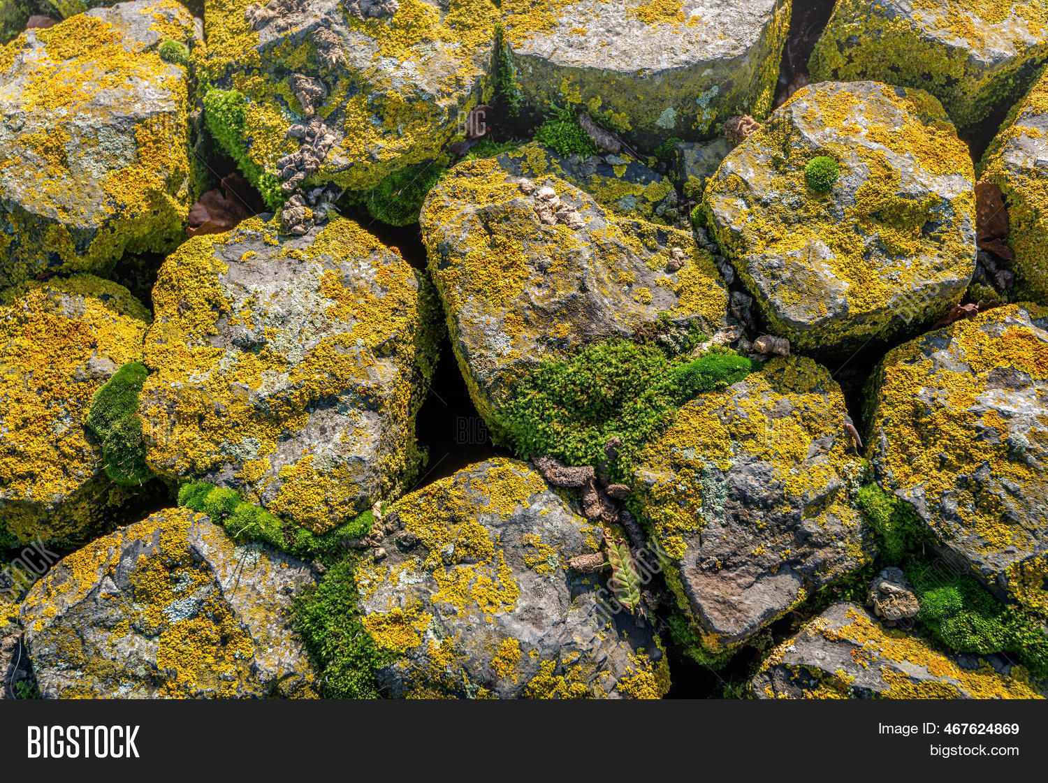 Closeup Basalt Stones Image & Photo (Free Trial) | Bigstock