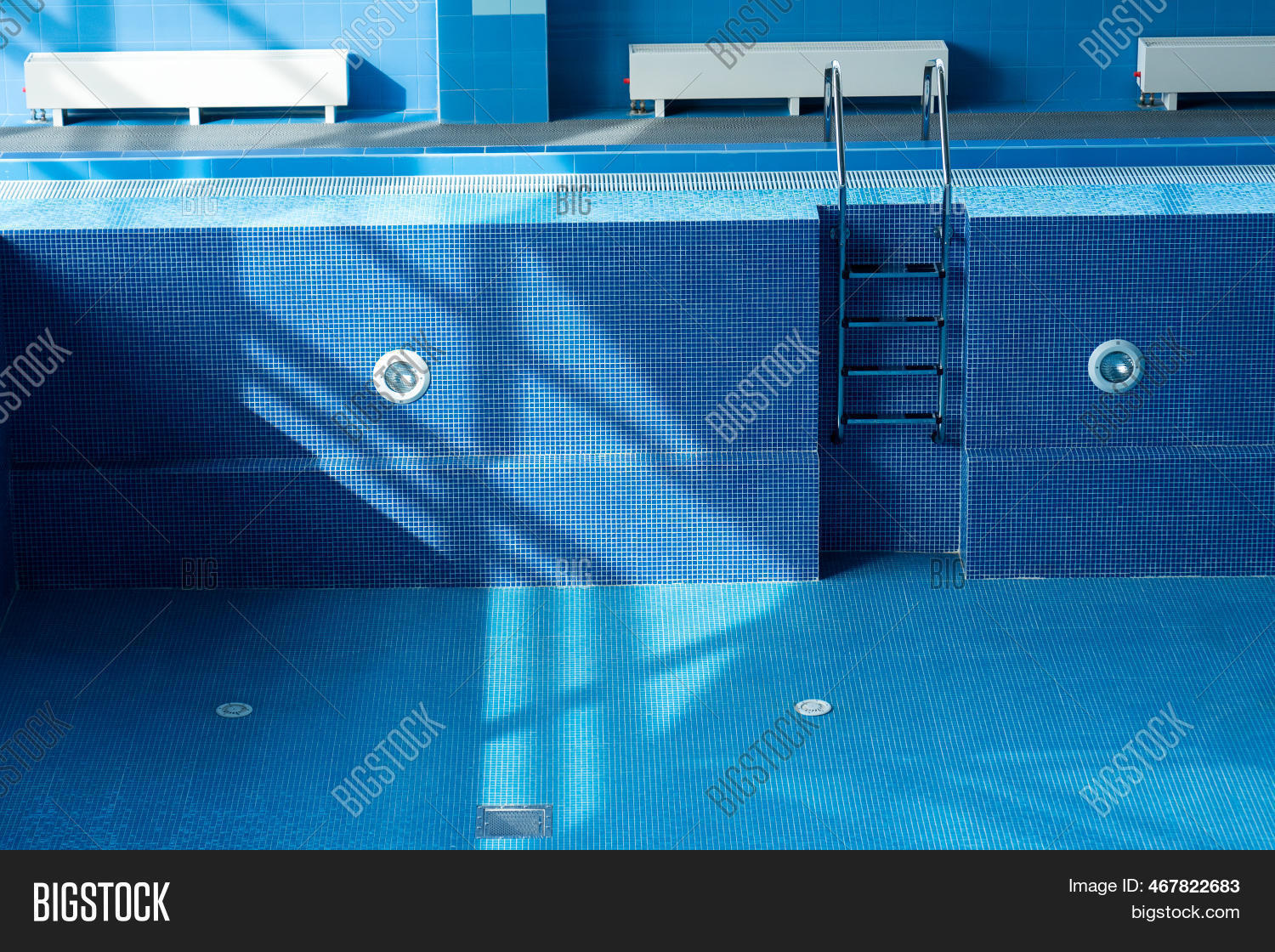 Descent Large Swimming Image & Photo (Free Trial) | Bigstock