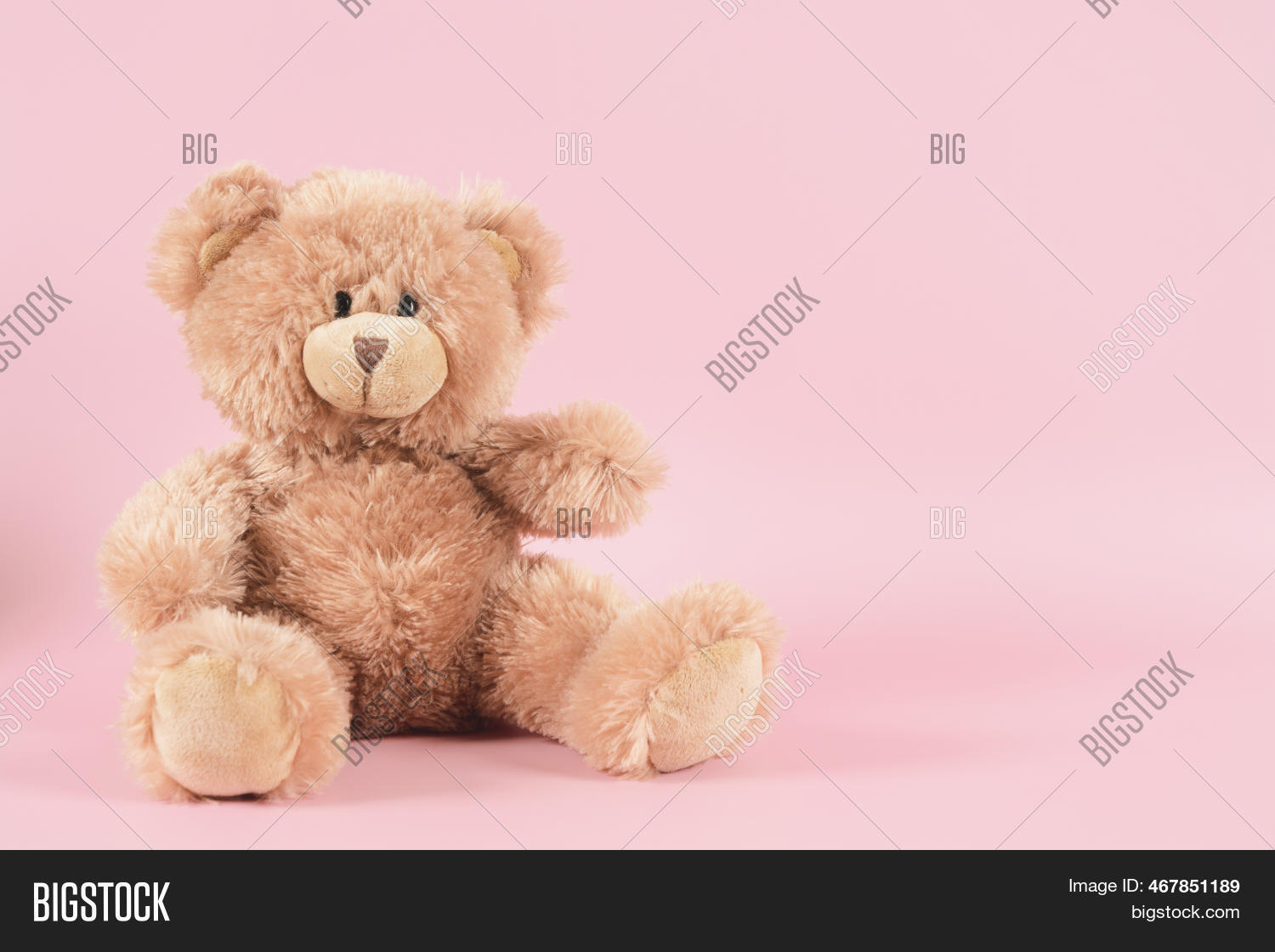 Brown Teddy Bear Image & Photo (Free Trial) | Bigstock