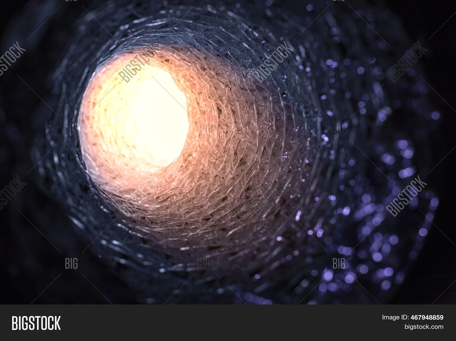 Front View Looking Image & Photo (Free Trial) | Bigstock