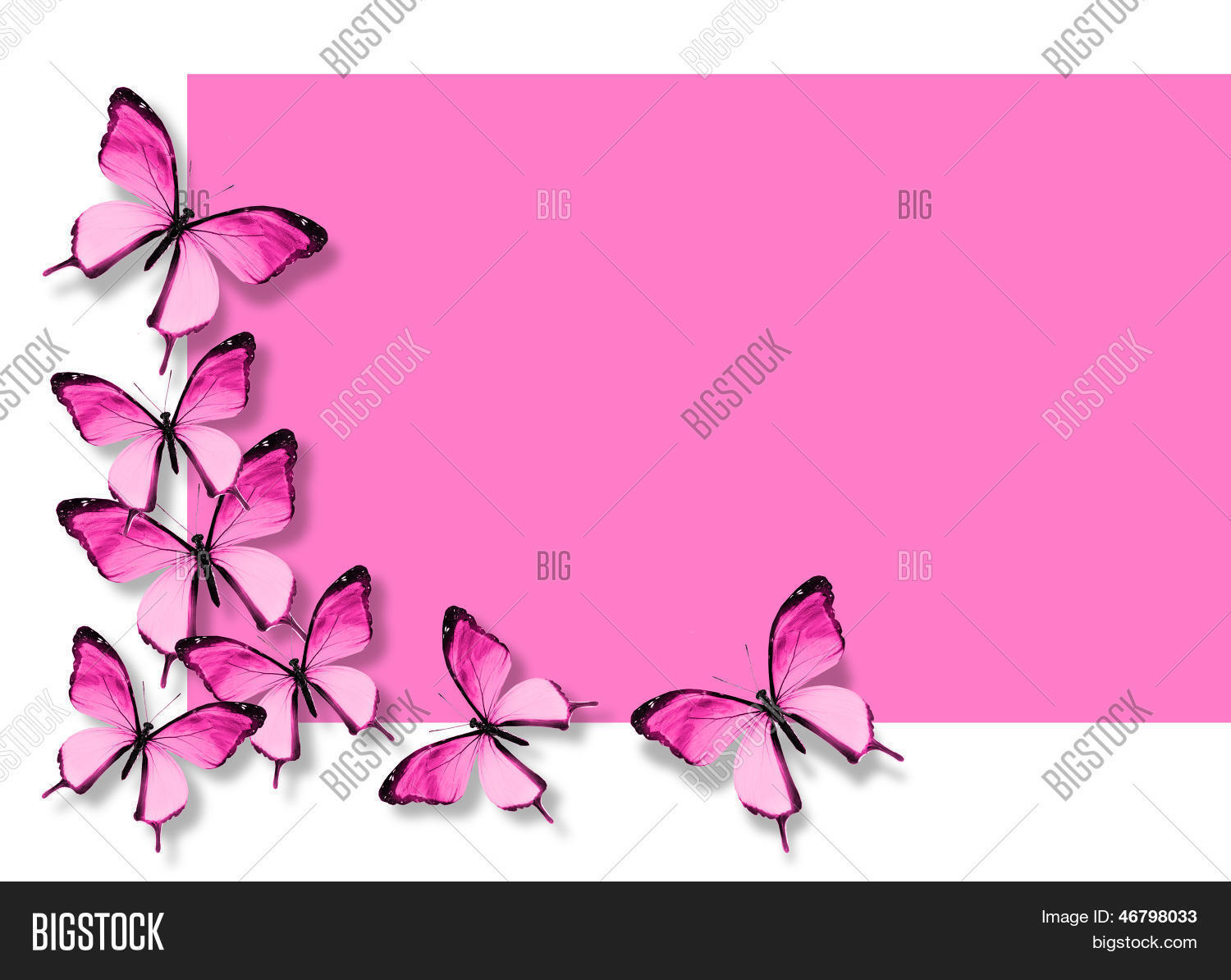 Pink Butterfly Flying