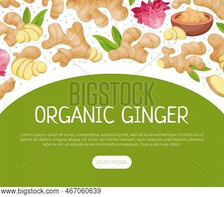 Organic Ginger Design Vector & Photo (Free Trial) | Bigstock