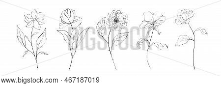 Set Flowers Line Art Vector & Photo (Free Trial) | Bigstock