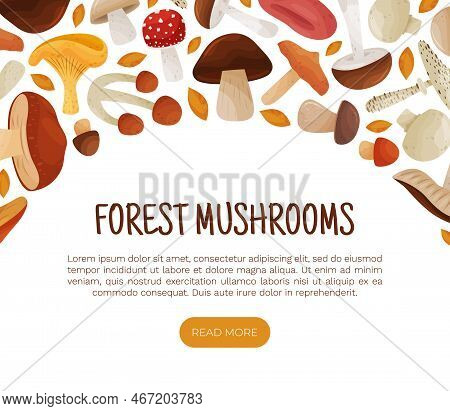 Mushroom Banner Vector & Photo (Free Trial) | Bigstock