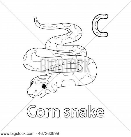 This Abc Vector Image Vector & Photo (Free Trial) | Bigstock