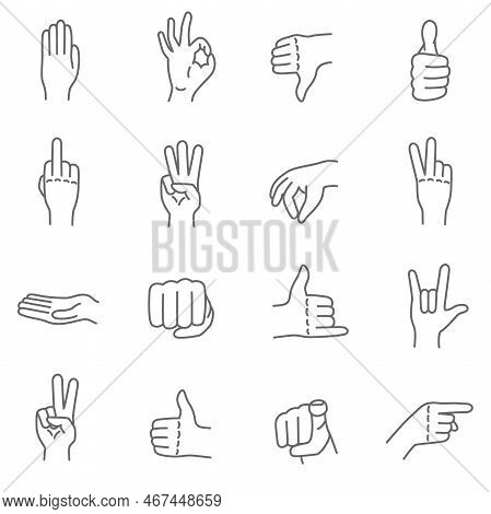 เวกเตอร์และภาพถ่าย (ทดลองใช้ฟรี) | Bigstock