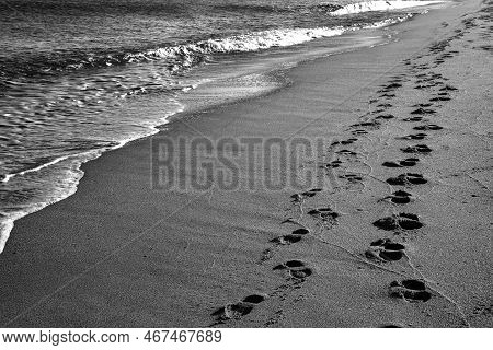 Footprints On Beach. Image & Photo (Free Trial) | Bigstock
