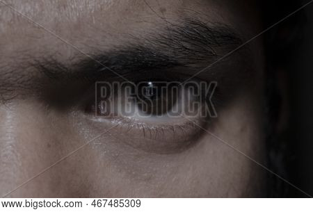 Human Eye Scanning Image & Photo (Free Trial) | Bigstock