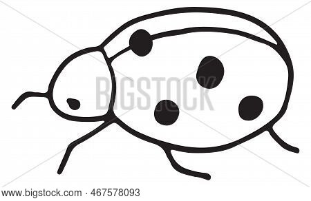 Ladybug Doodle. Vector & Photo (Free Trial) | Bigstock
