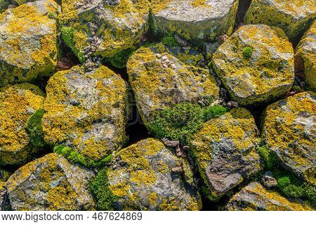 Closeup Basalt Stones Image & Photo (Free Trial) | Bigstock