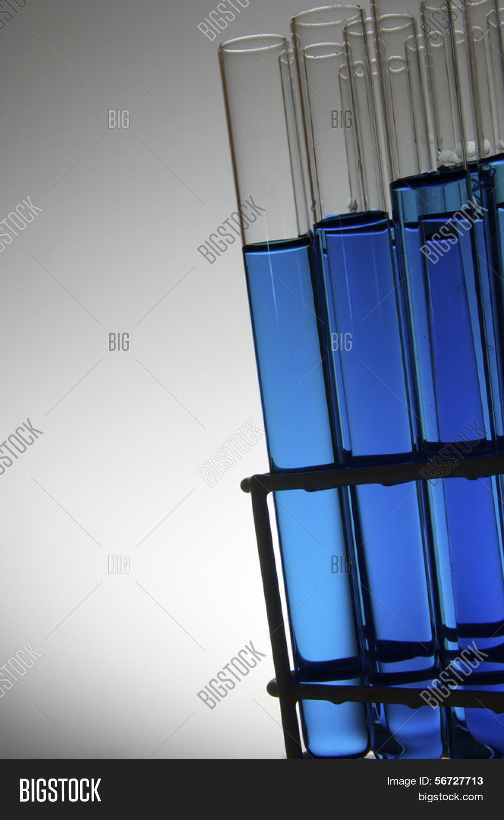 Blue Test Tubes Rack Image & Photo (Free Trial) | Bigstock