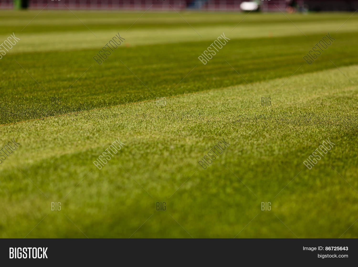 Soccer Pitch Image & Photo (Free Trial) | Bigstock