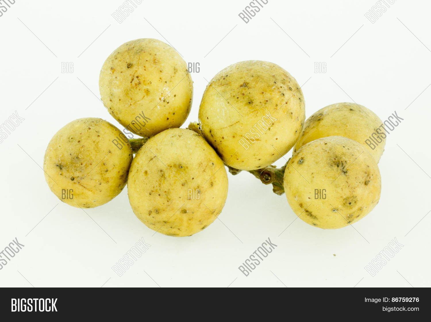 Lanzones Fruit ( Image & Photo (Free Trial) | Bigstock
